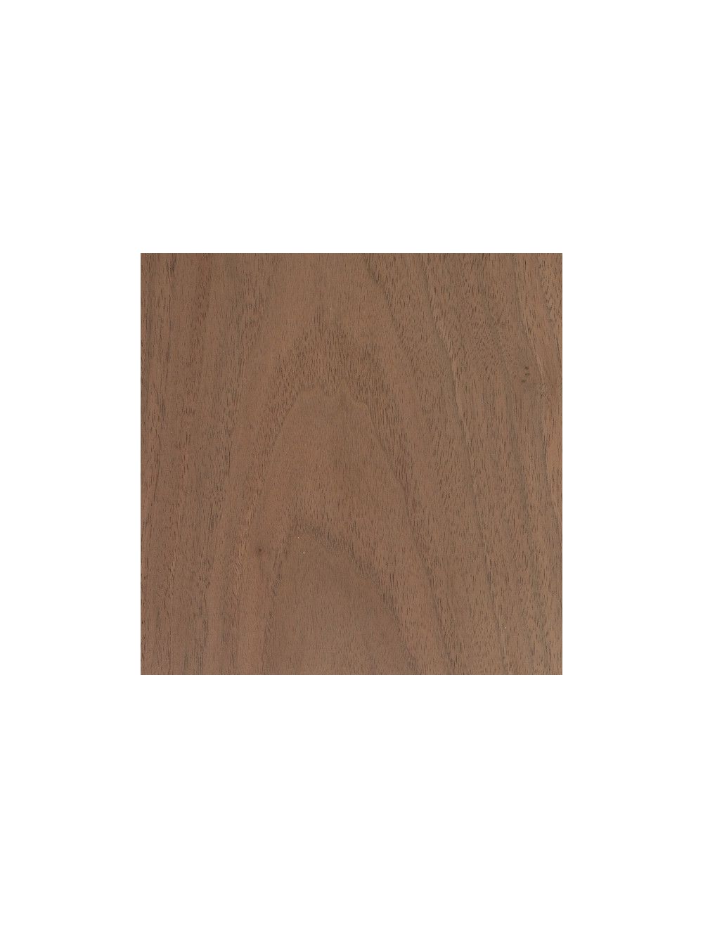 4/4 FAS WALNUT 8"+