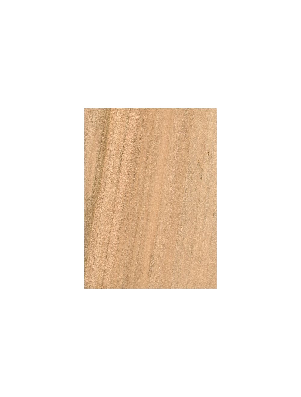 4/4 FAS-1F SOFT MAPLE